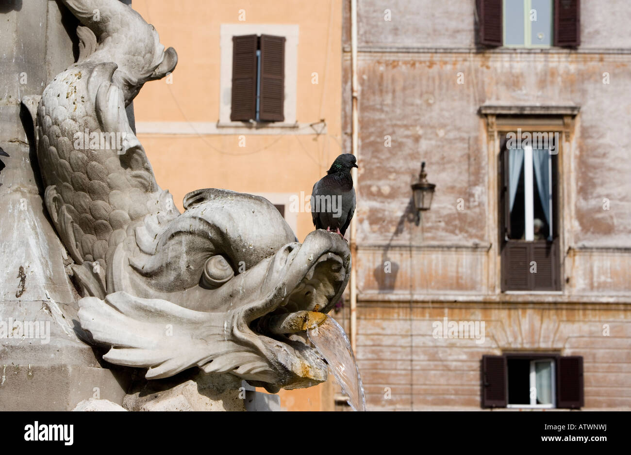 Piazza della Rotonda Rome Italy Stock Photo - Alamy