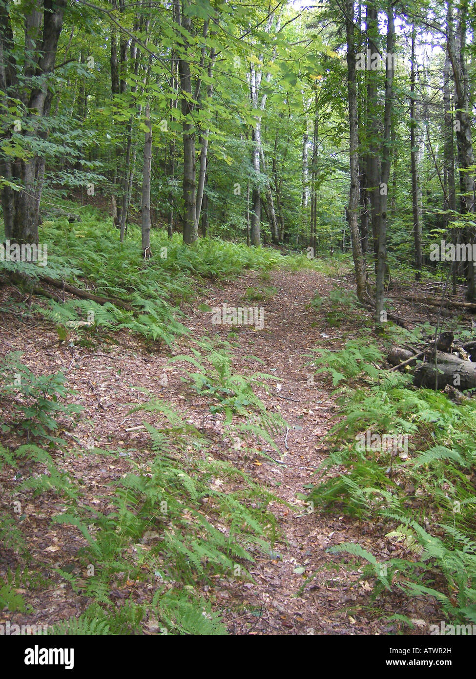 Vermont hiking trails hi-res stock photography and images - Alamy