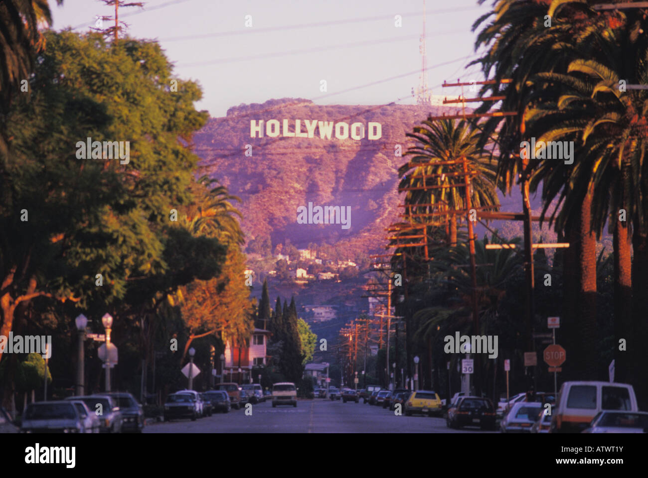 Los Angeles Palm Trees Hollywood Sign Stock Photos Los Angeles Palm