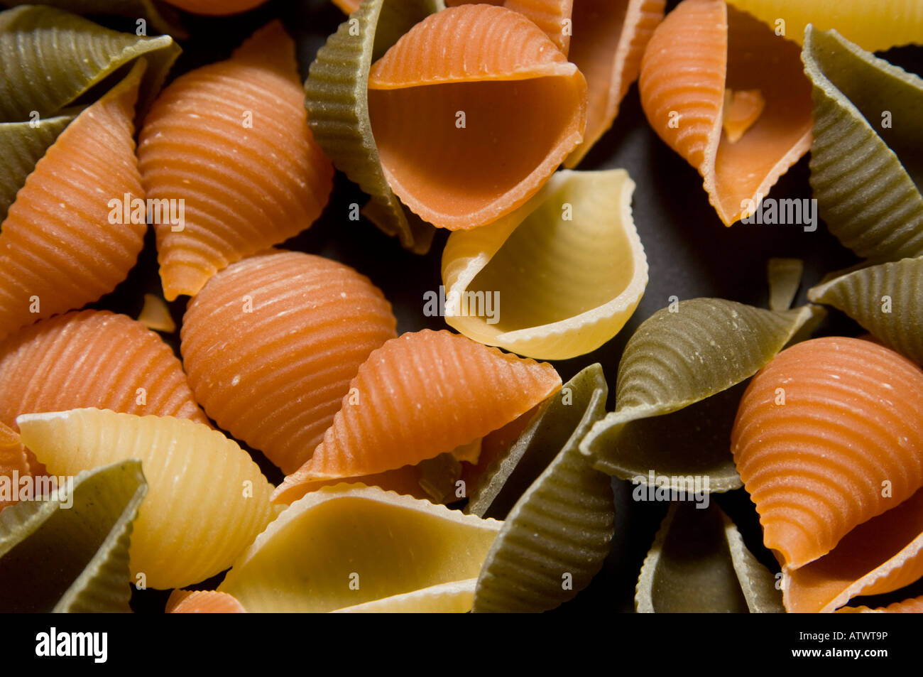 CONCHIGLIE Dried tricolore pasta shells Stock Photo - Alamy