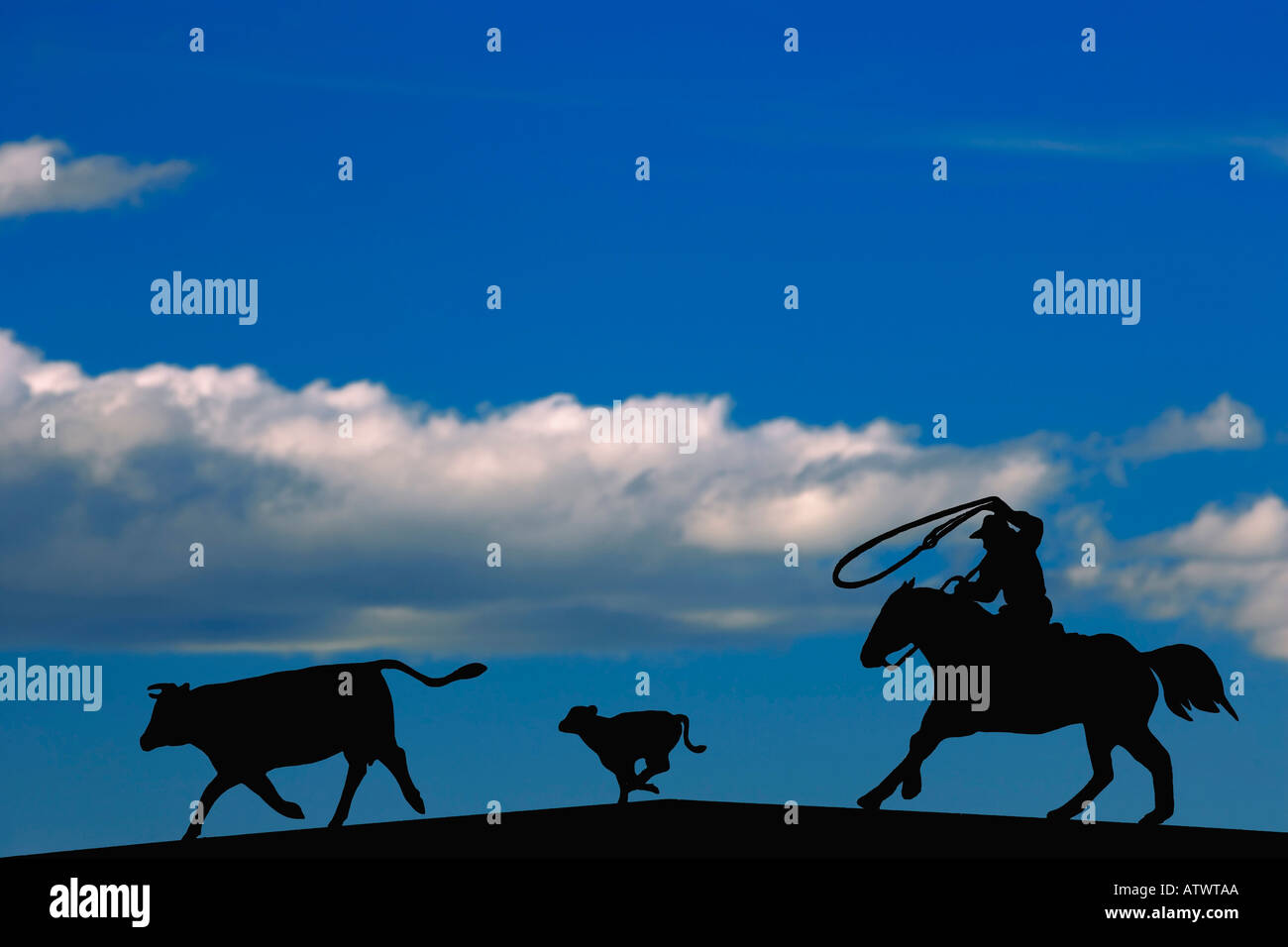 Silhouette of a rancher roping cattle Stock Photo - Alamy