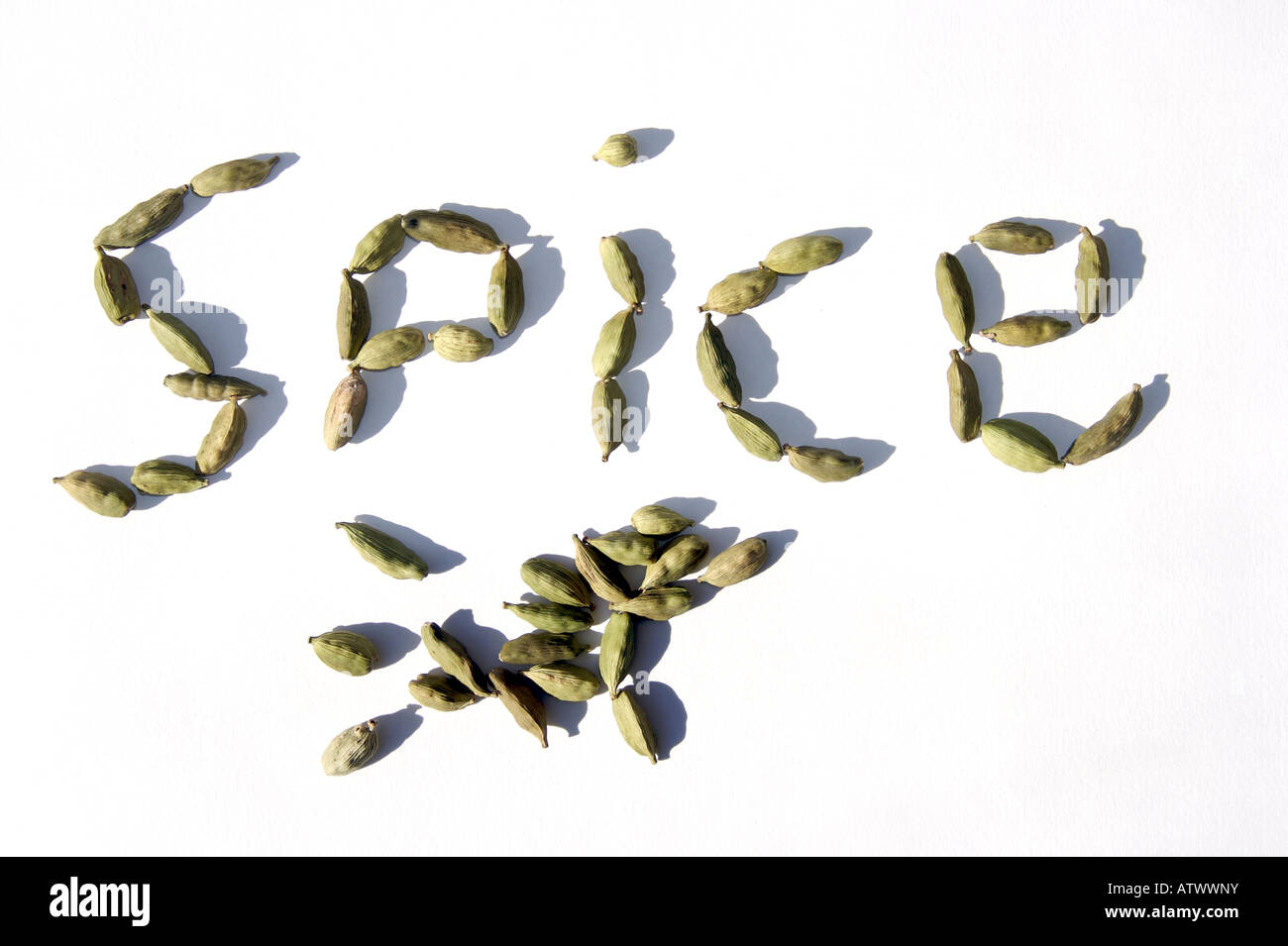 Cardamom pods elettaria cardamomum zingiberaceae hi-res stock ...