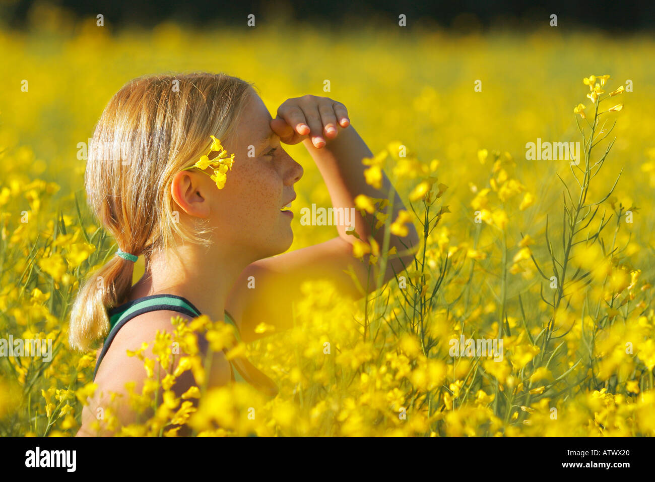 Leah field hi-res stock photography and images - Alamy