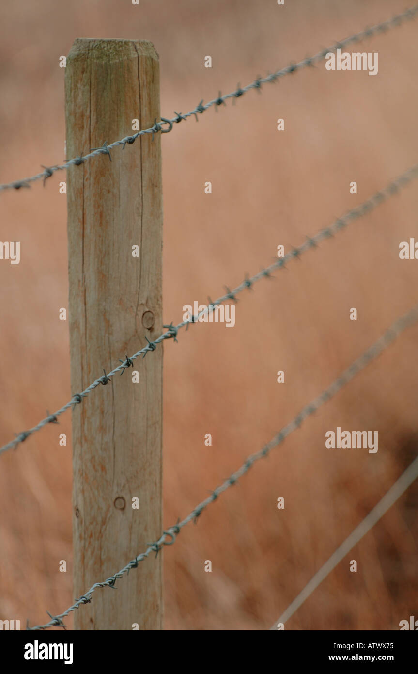 Pointed objects hi-res stock photography and images - Alamy