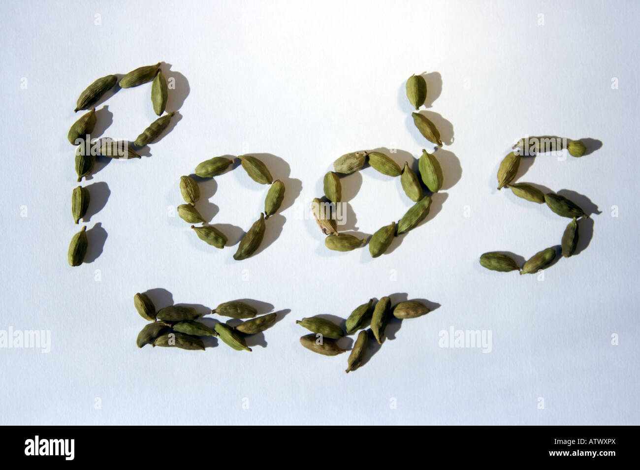 Cardamom pods elettaria cardamomum zingiberaceae hi-res stock ...