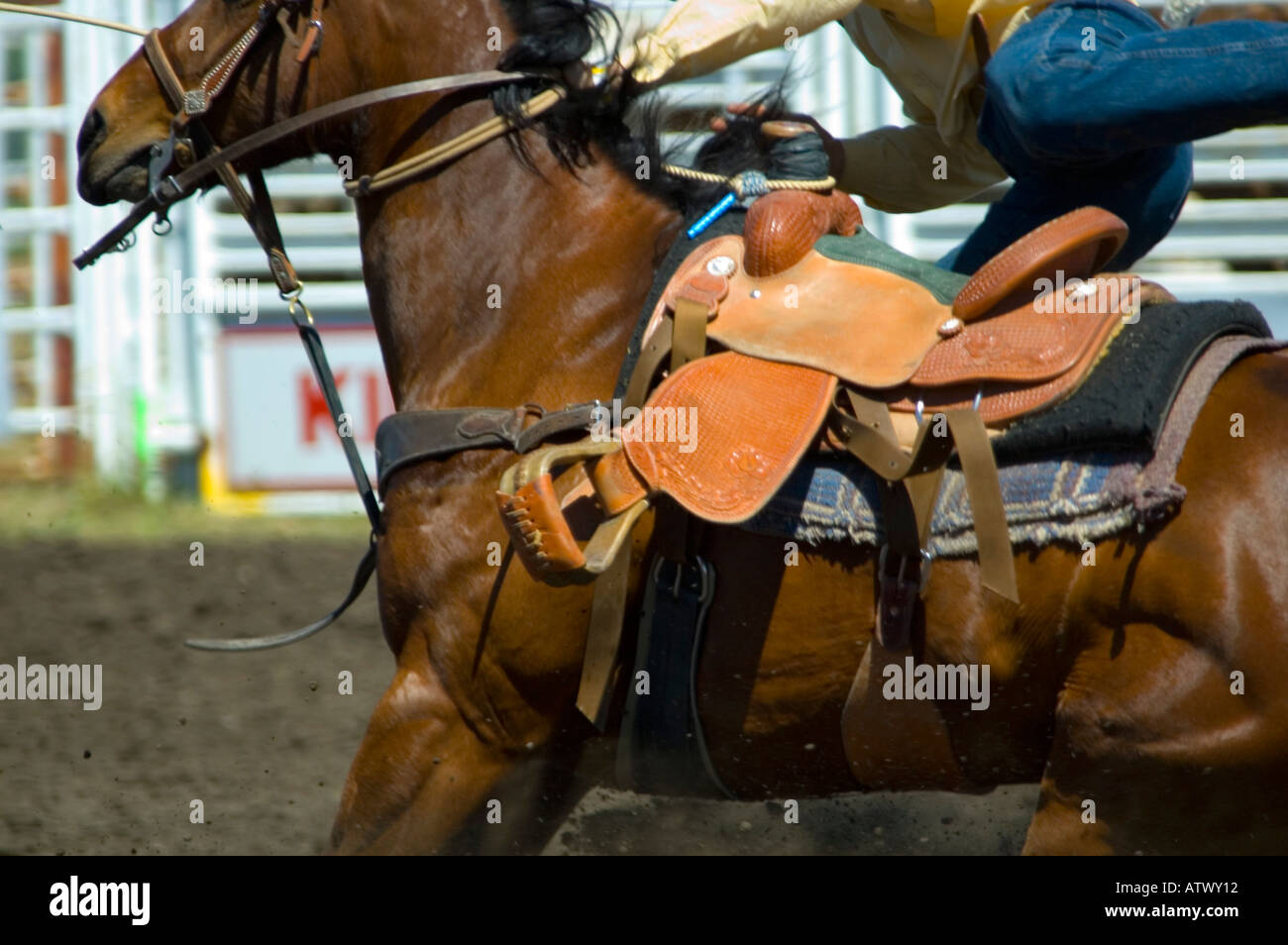 Cowboy Mounting Horse High Resolution Stock Photography and Images - Alamy