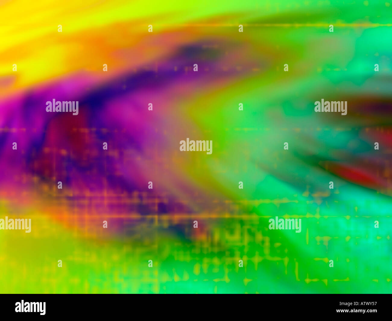 Ant0449 hi-res stock photography and images - Alamy