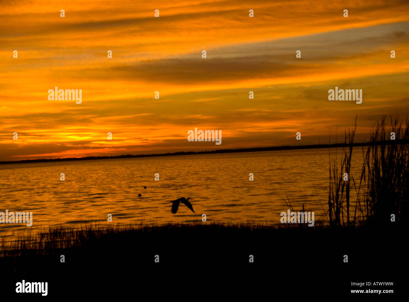 Harris chain of lakes hi-res stock photography and images - Alamy