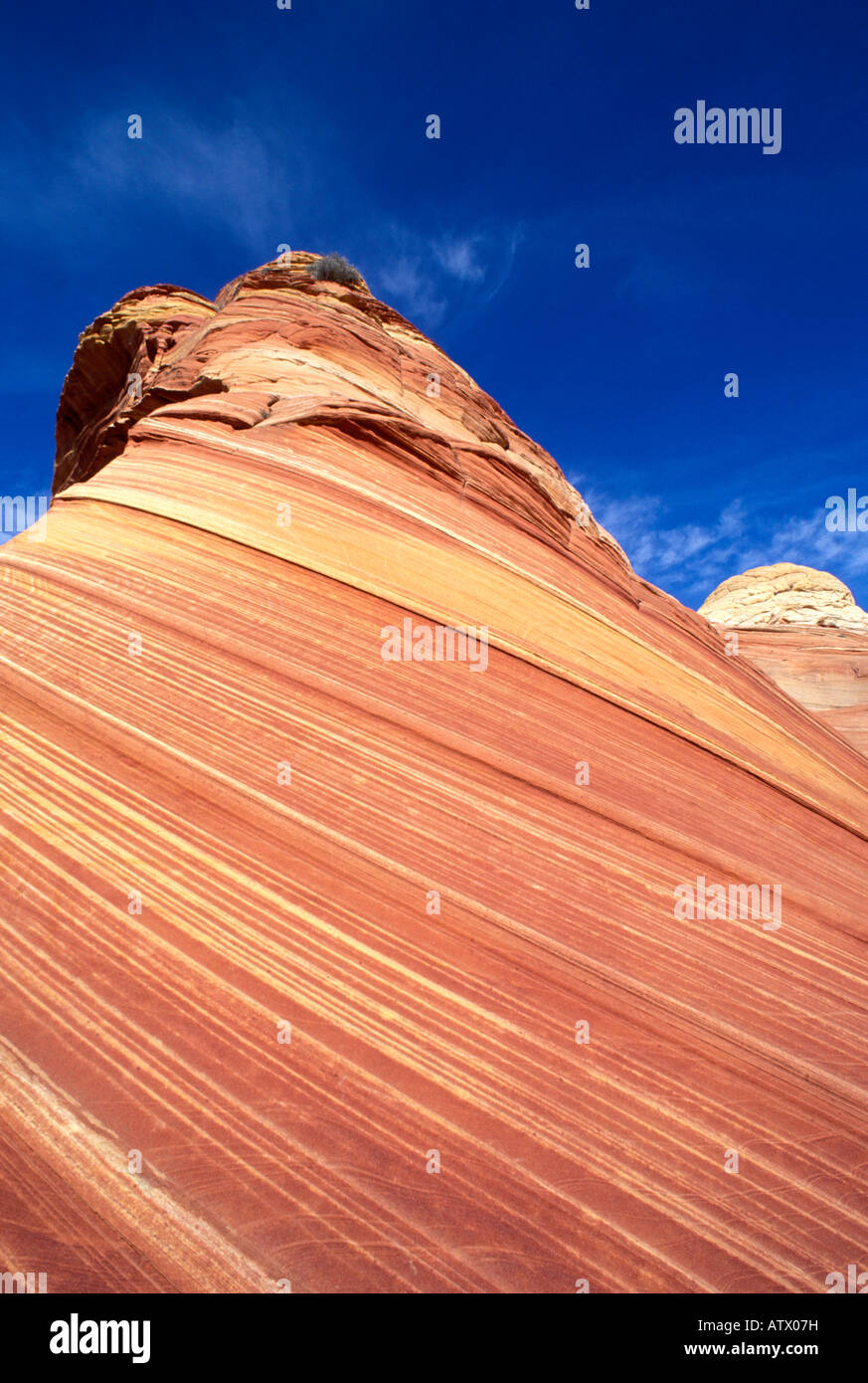 The Wave in the Coyote Buttes area Paria Plateau Paria Canyon Vermilion ...