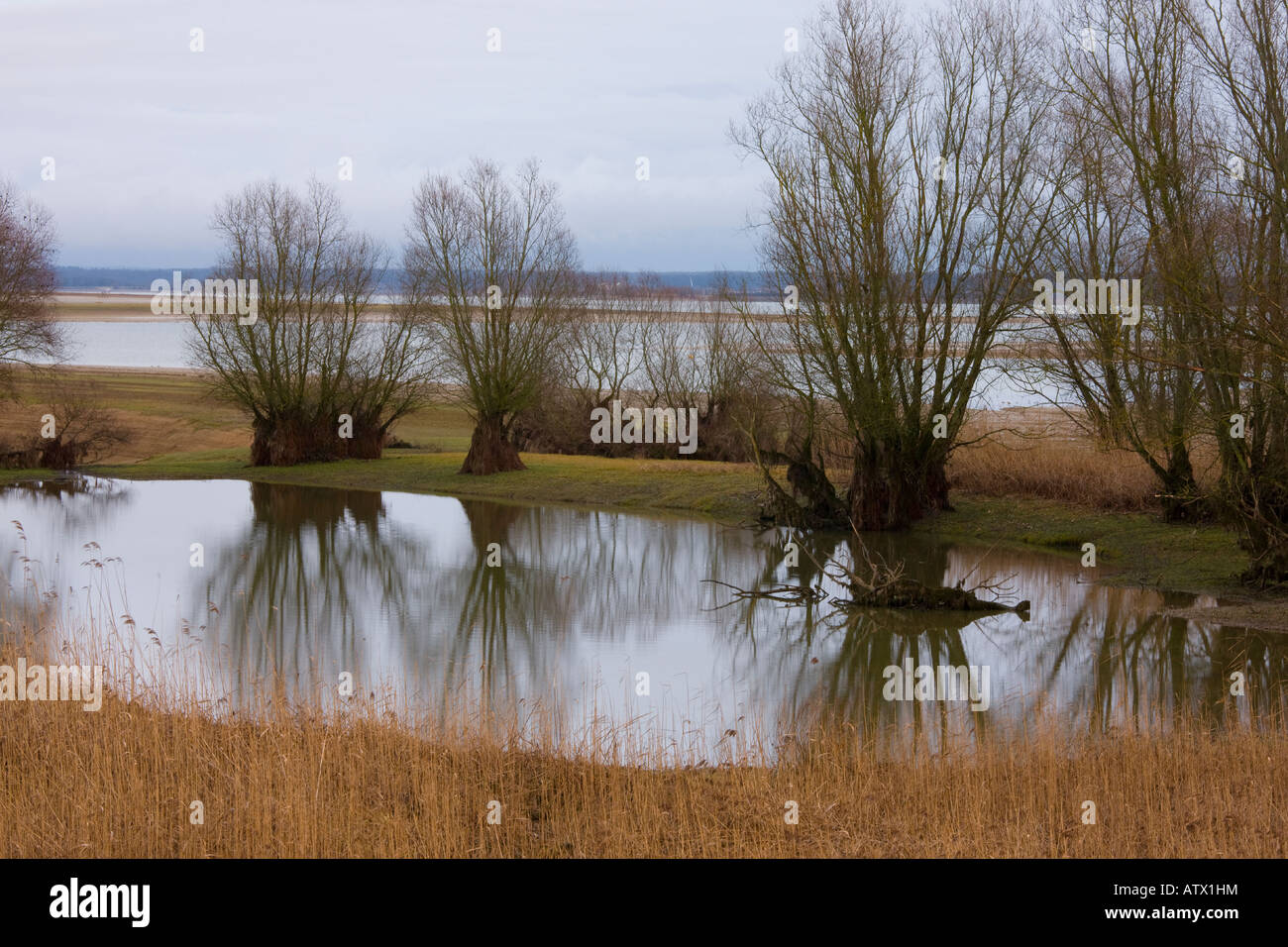 Dizier hi-res stock photography and images - Alamy