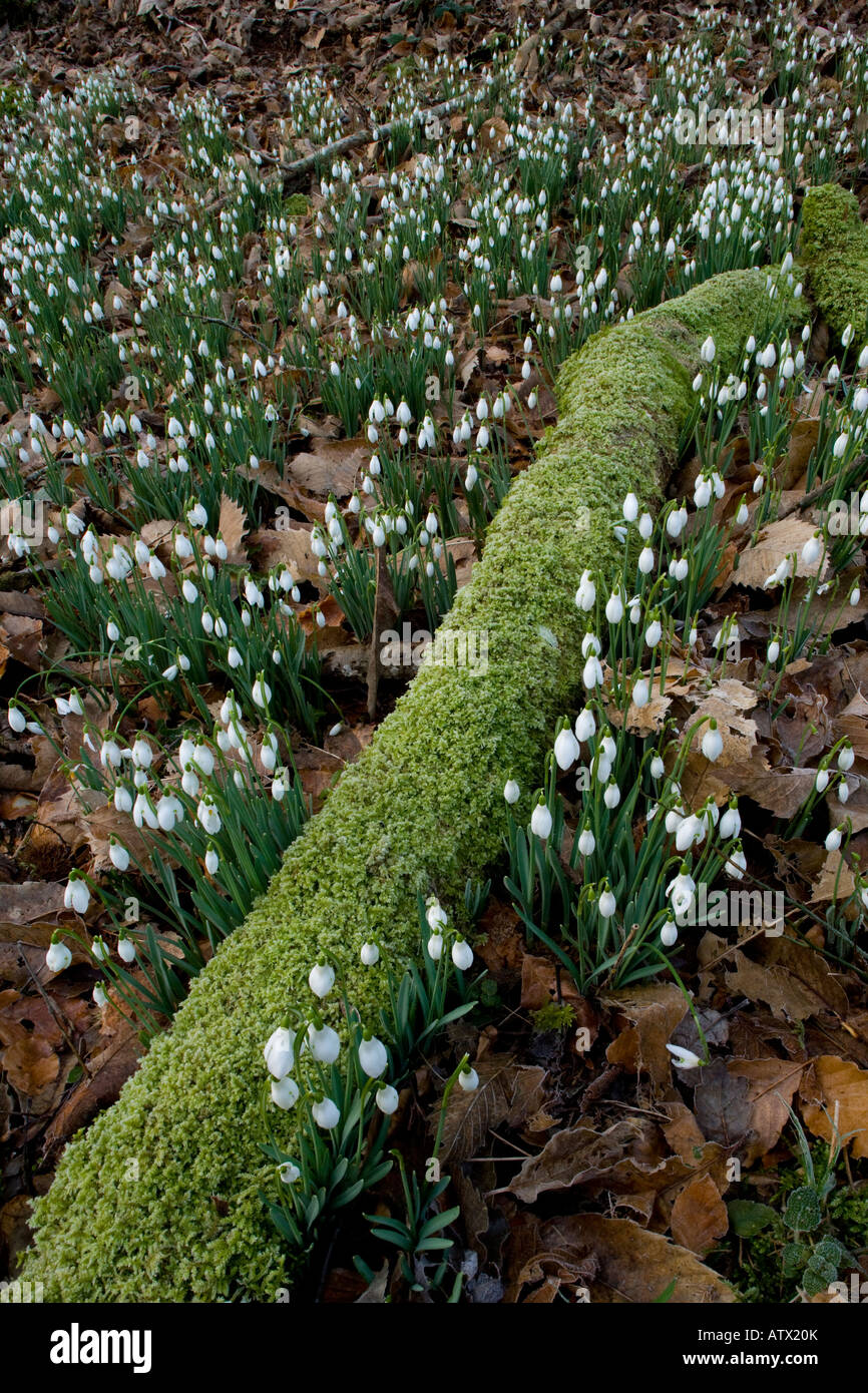 Timberscombe somerset hi-res stock photography and images - Alamy