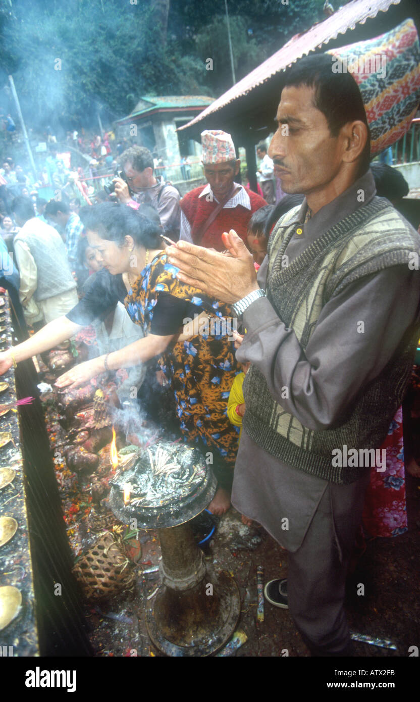 DASINKALI SACRIFICES KHATMANDU VALLEY NEPAL EVERY WEEK THOUSANDS OF ...