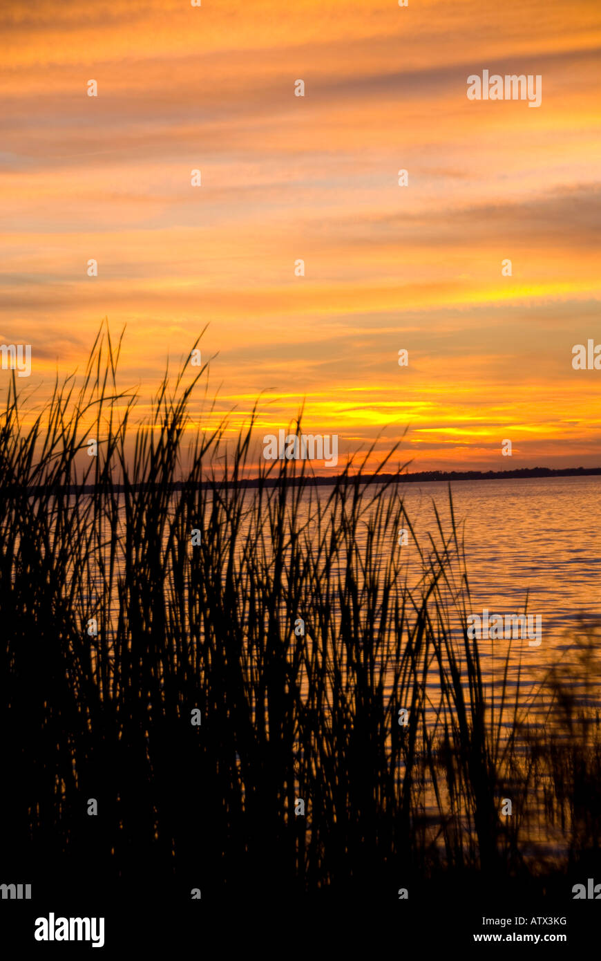Central Florida sunset over Lake Eustis Stock Photo - Alamy