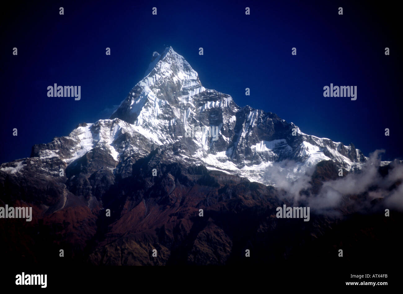 Mountain white fish hi-res stock photography and images - Alamy