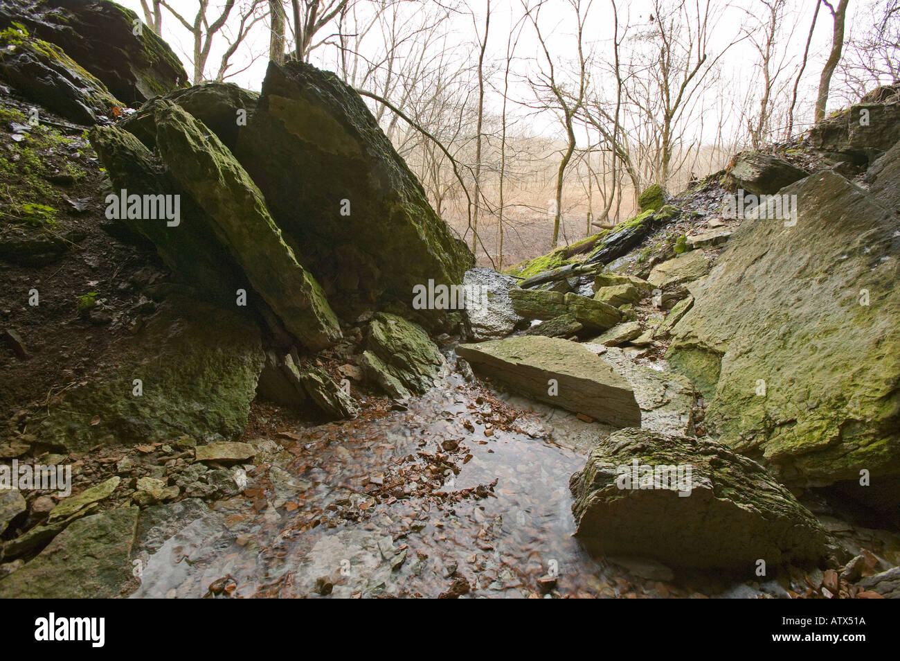 Mouth of Alexander Cave with moss covered rocks Tennessee Stock Photo ...