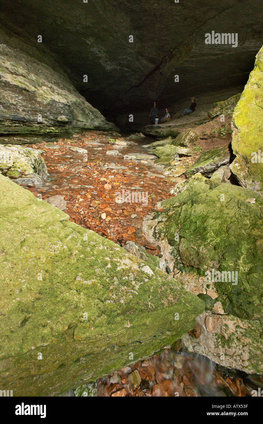 Mouth of Alexander Cave with moss covered rocks Tennessee Stock Photo ...