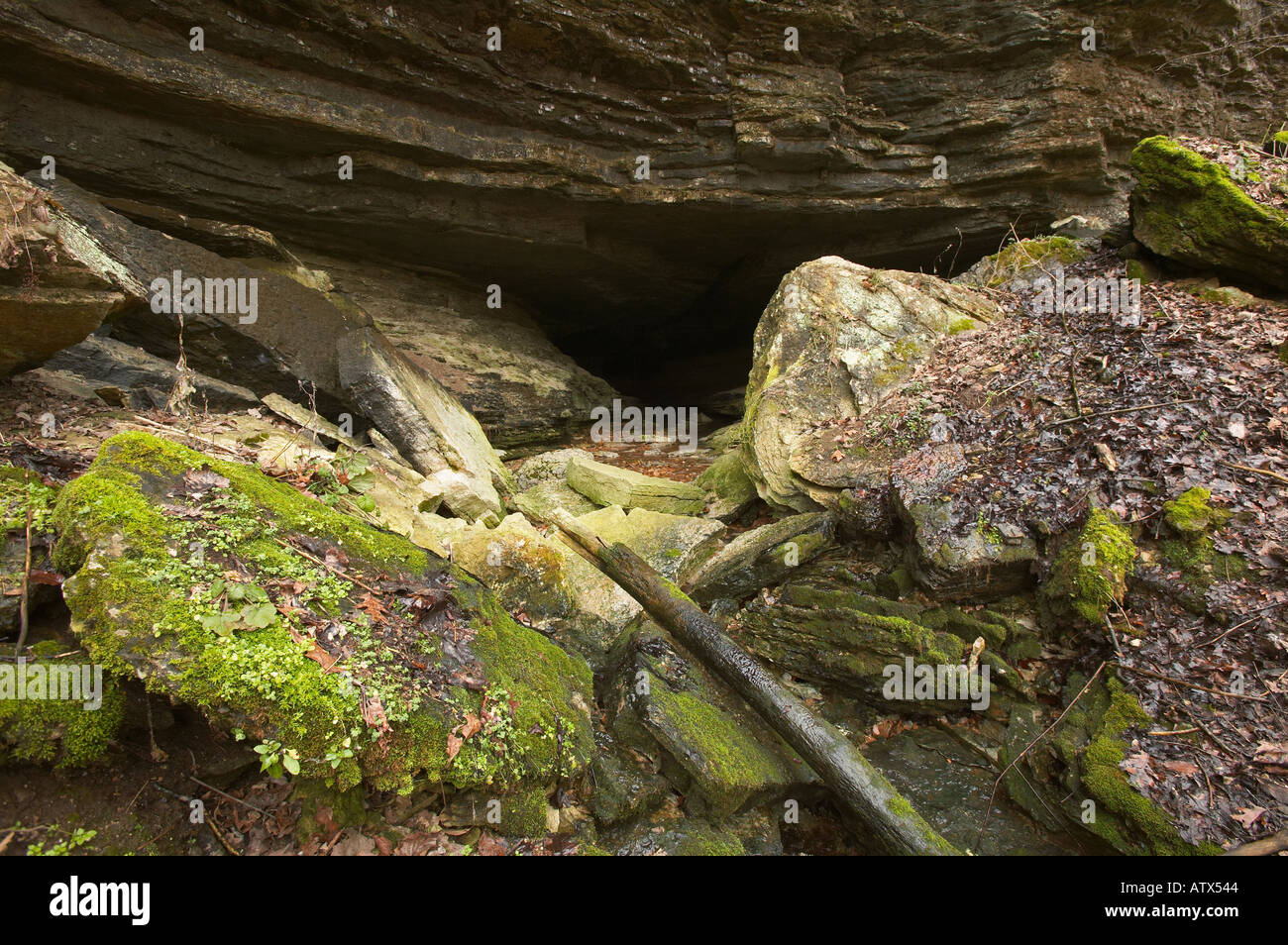 Mouth of Alexander Cave with moss covered rocks Tennessee Stock Photo ...