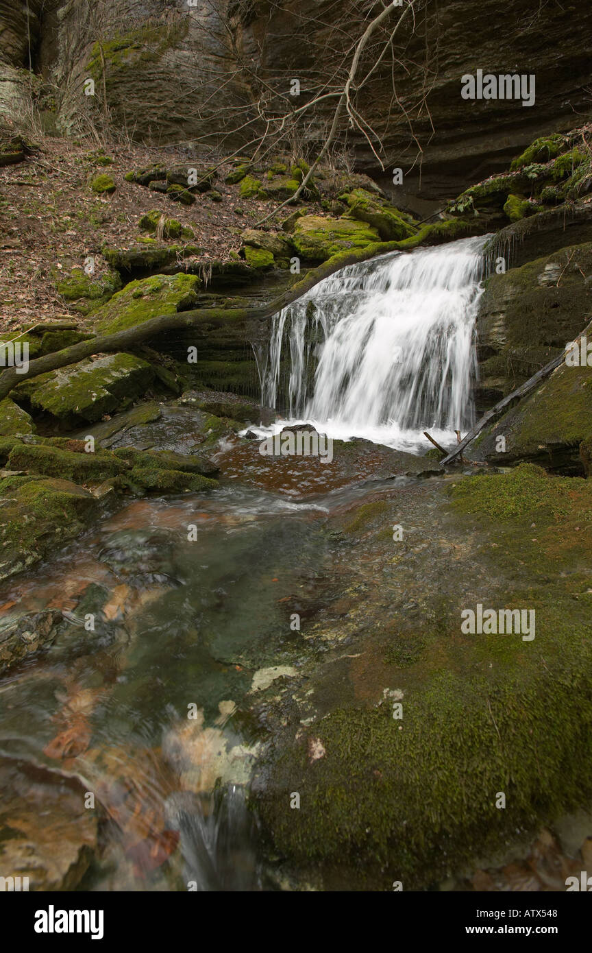 Waterfall pouring from mouth of cave Alexander Cave Tennessee Stock ...