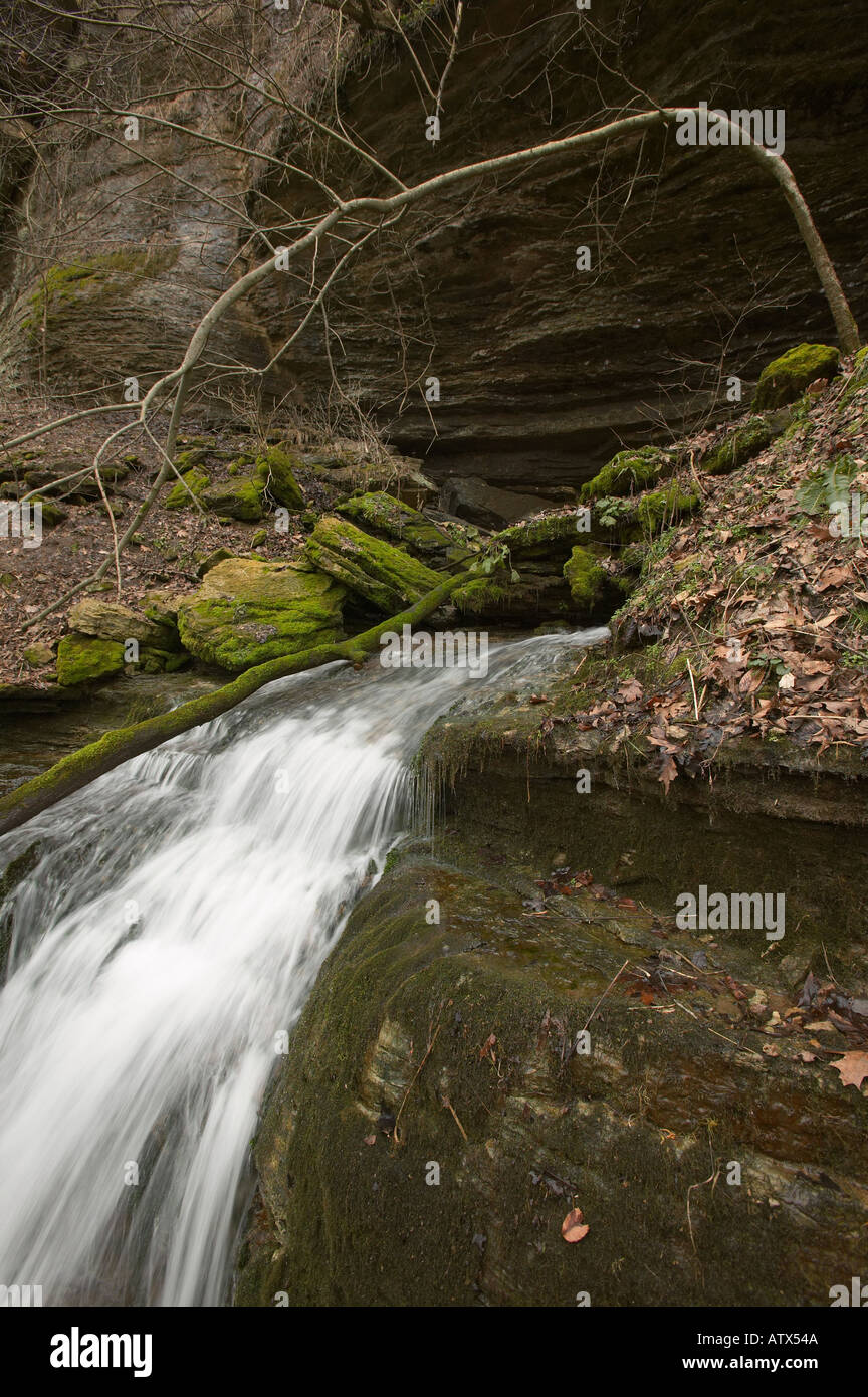 Waterfall pouring from mouth of cave Alexander Cave Tennessee Stock ...