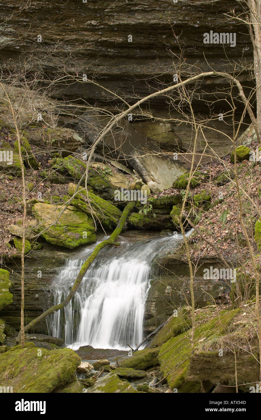 Waterfall pouring from mouth of cave Alexander Cave Tennessee Stock ...