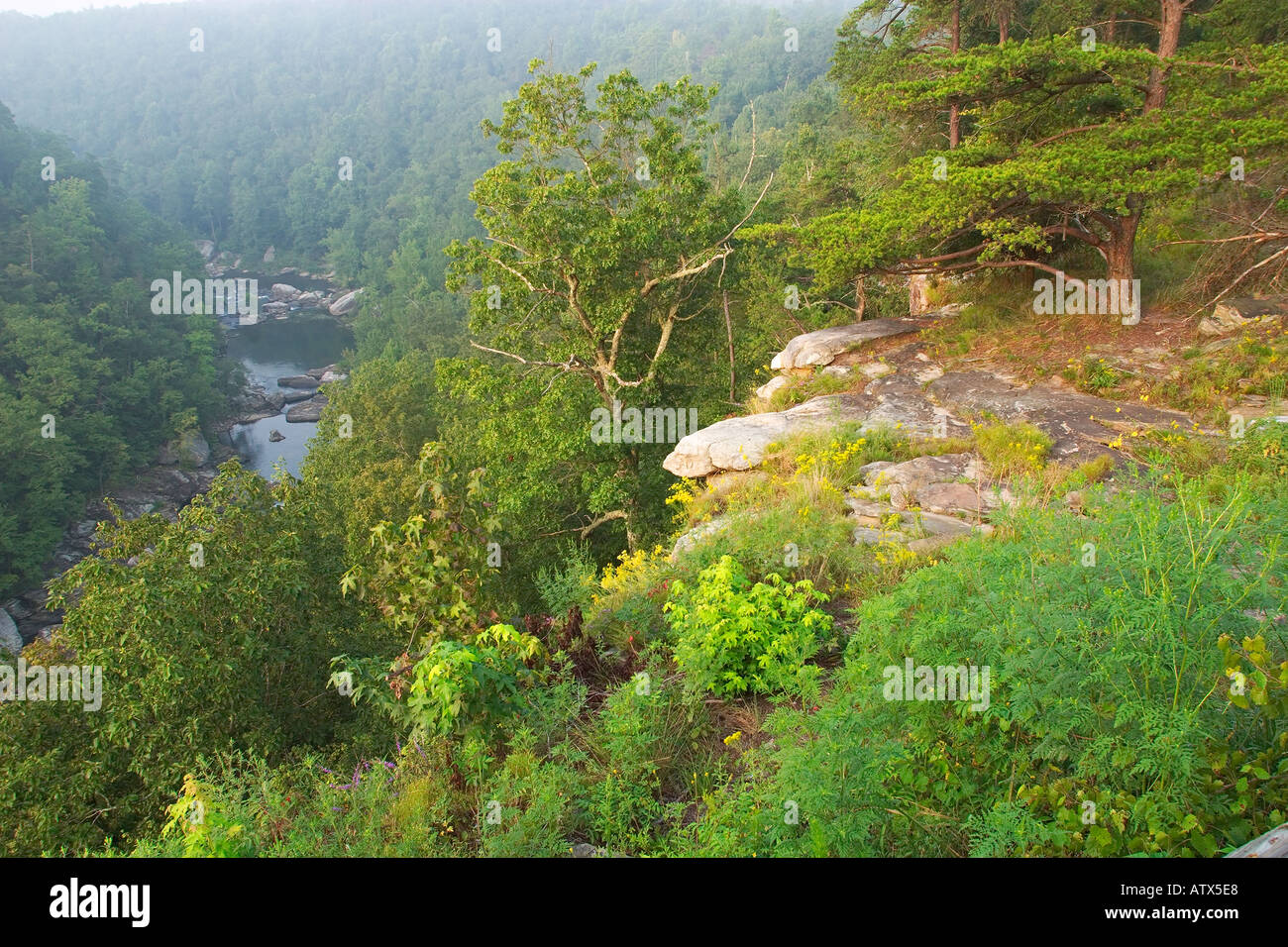 Scenic View Into Gorge Little River Canyon National Preserve Alabama ...