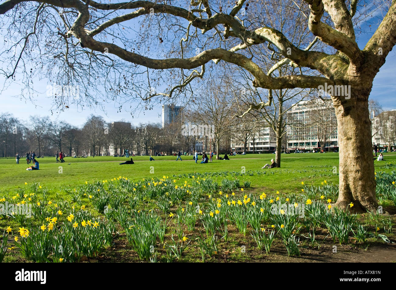 Green Park London England UK Stock Photo - Alamy