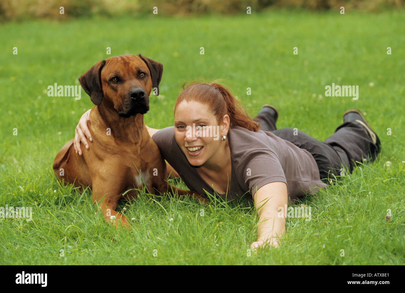 Rhodesian Ridgeback dog and woman - lying on meadow Stock Photo - Alamy