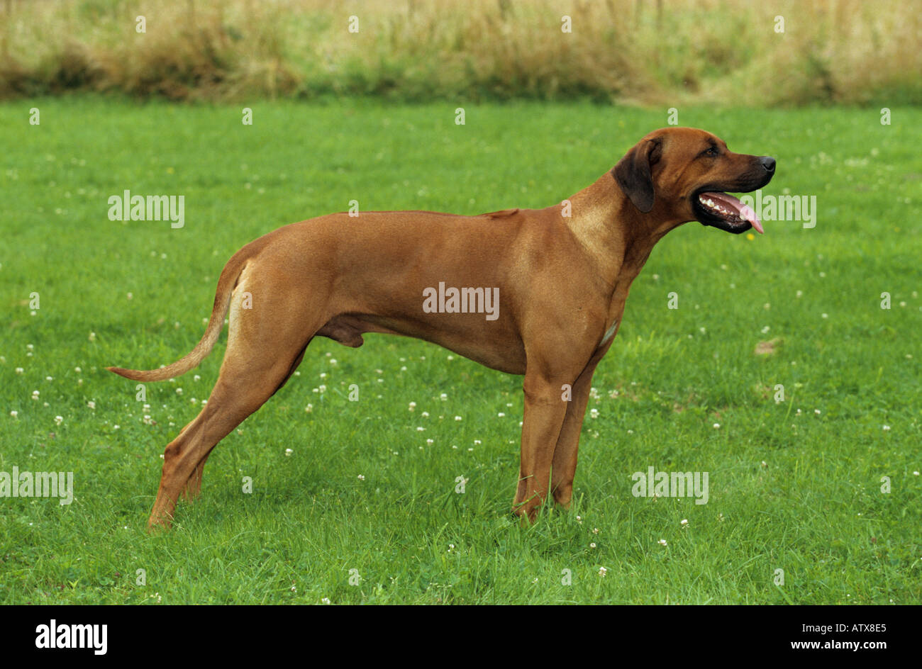 Stand sideway hi-res stock photography and images - Alamy