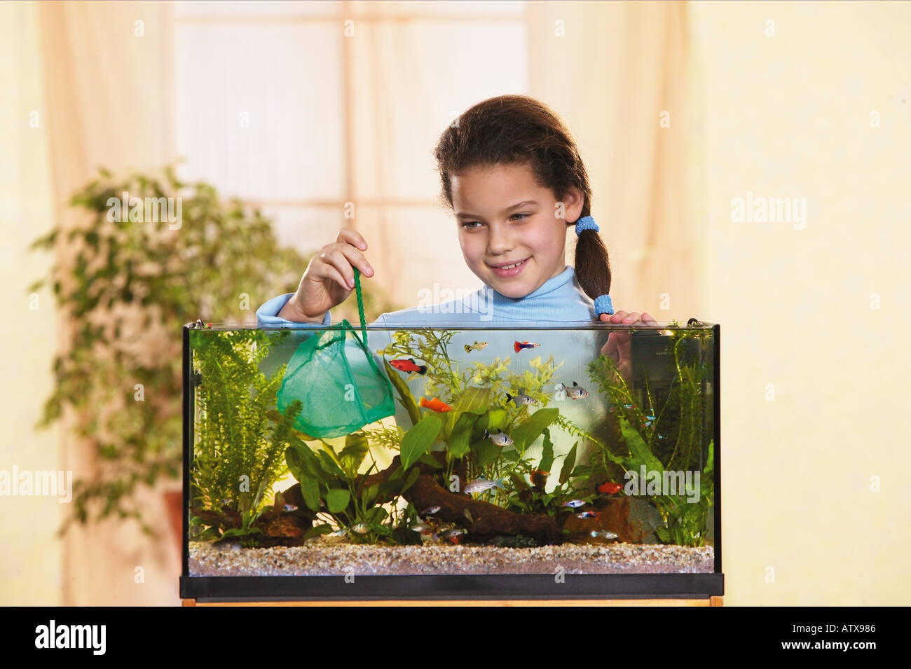 Girl fishing in aquarium hi-res stock photography and images - Alamy