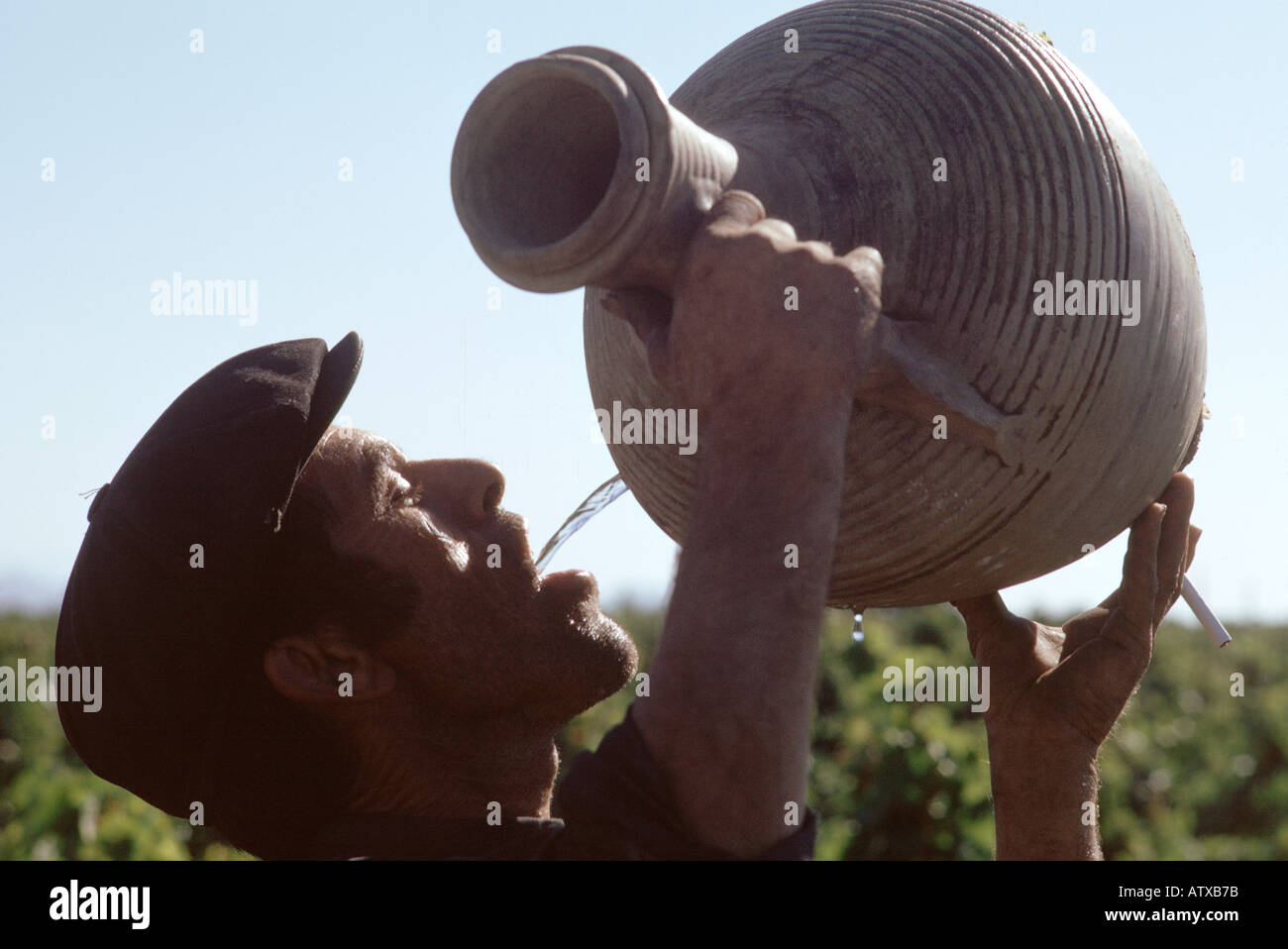 Spain, Andalusia. Man drinking cool water from clay jug during grape ...