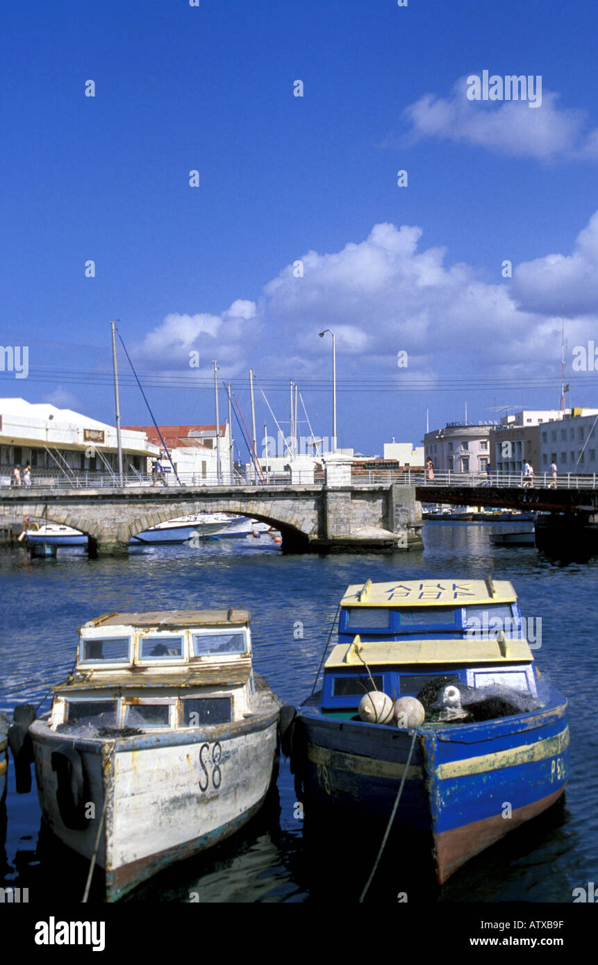 Flying fish barbados hi-res stock photography and images - Alamy