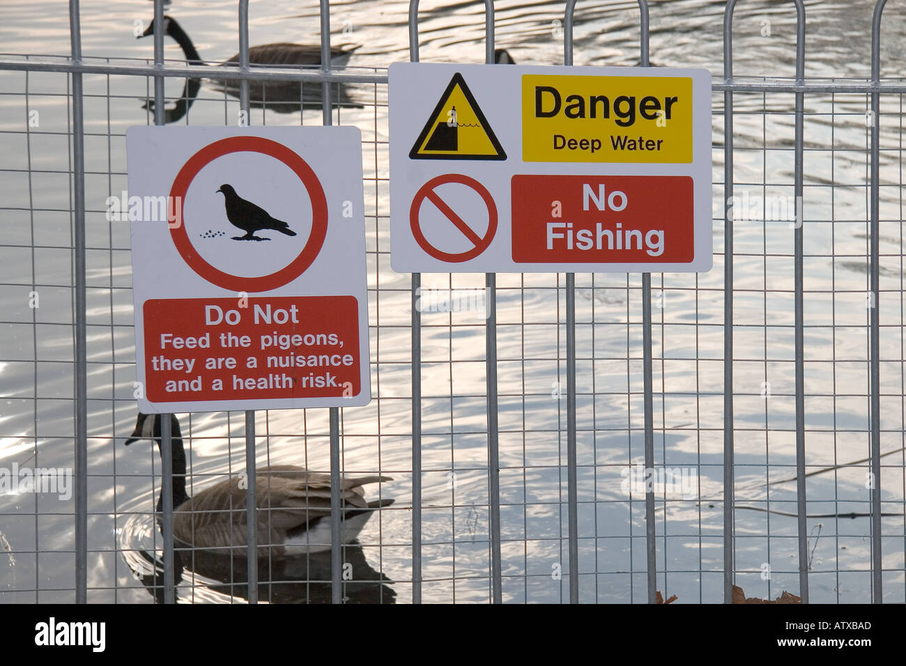 Warning signs by lake with geese swimming Stock Photo - Alamy