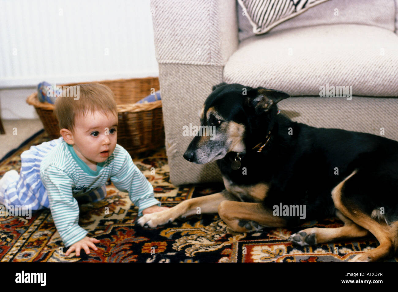 Allergic to dogs hi-res stock photography and images - Alamy