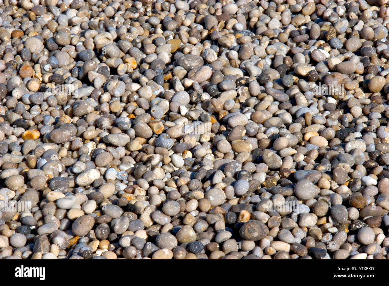 Pebbly beach Italy Stock Photo - Alamy