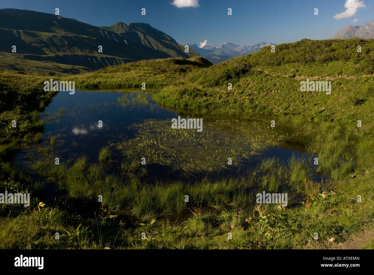 High alpine lake on Col du Joly, near Mont Blanc, with Floating bur ...
