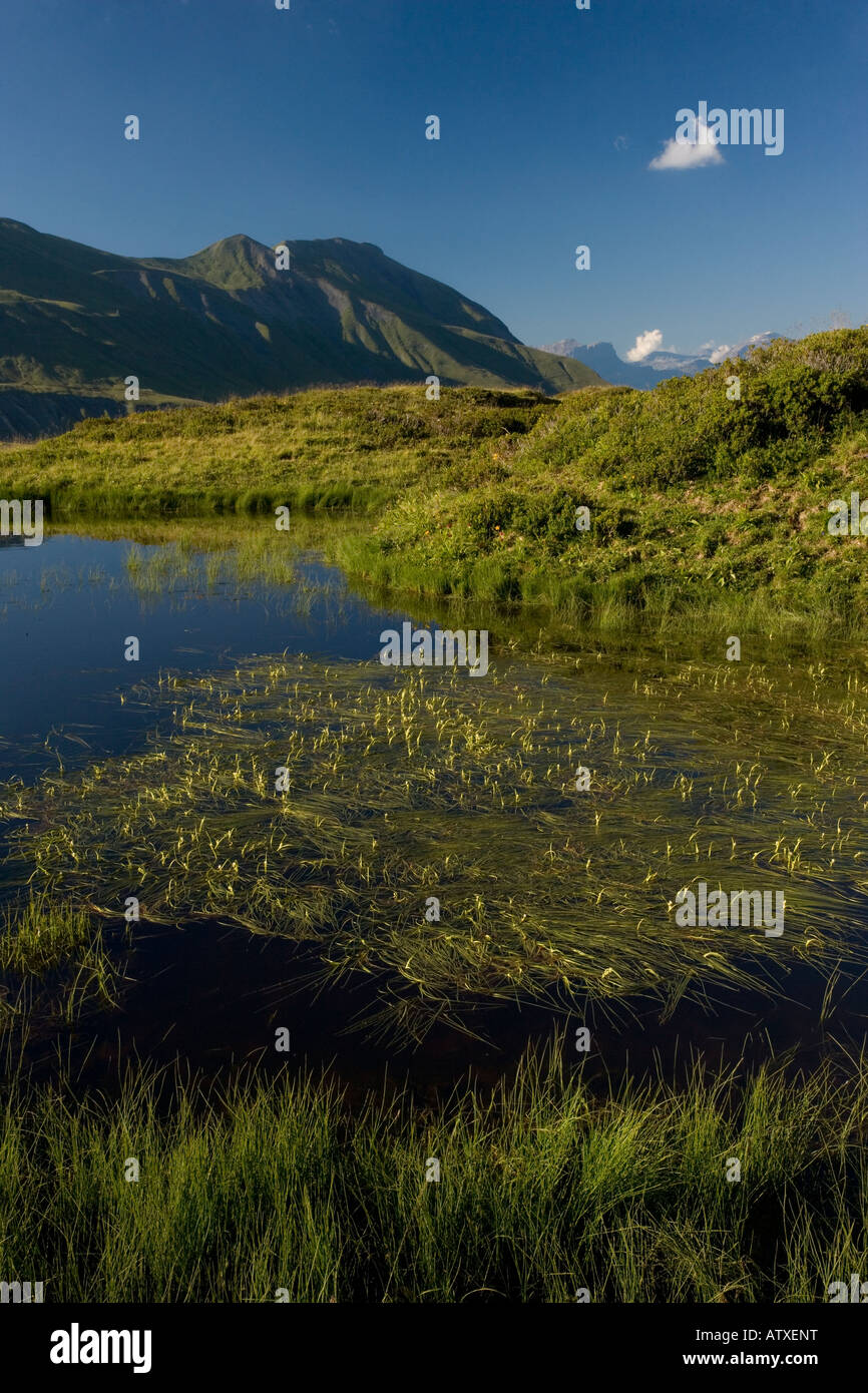 High alpine lake on Col du Joly, near Mont Blanc, with Floating bur ...