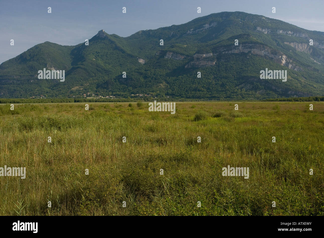 Fen area hi-res stock photography and images - Alamy