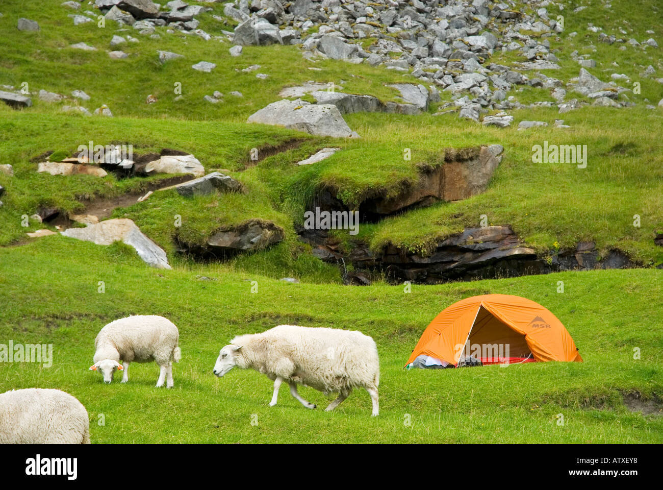 Sheep tent hi-res stock photography and images - Alamy
