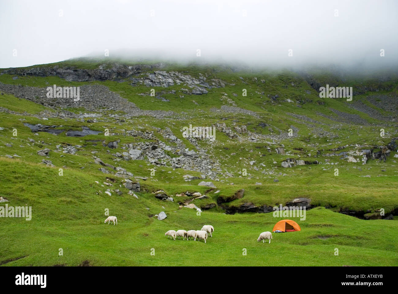 Sheep tent High Resolution Stock Photography and Images - Alamy