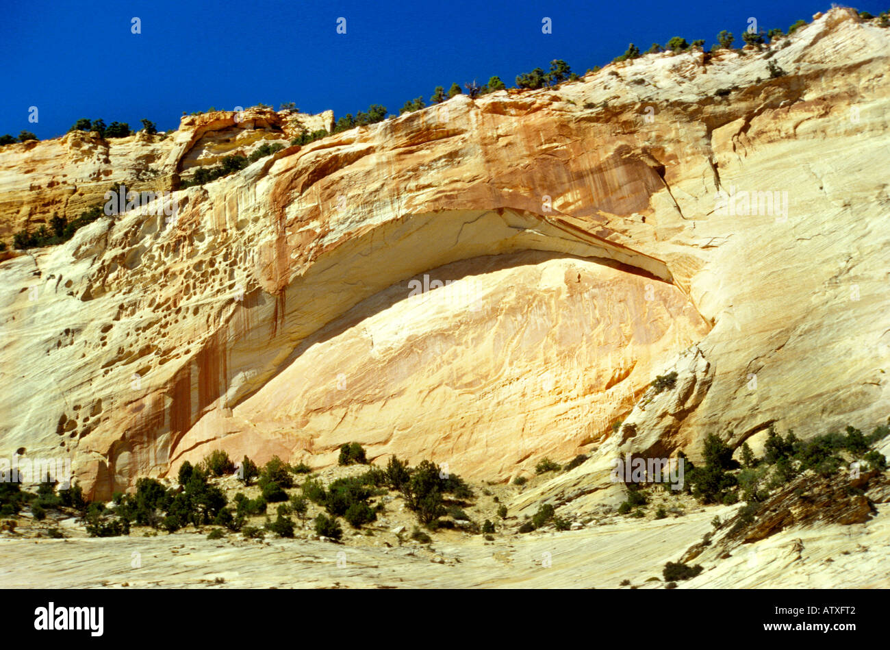 Natural stone arch Zion national park Utah United States of America ...
