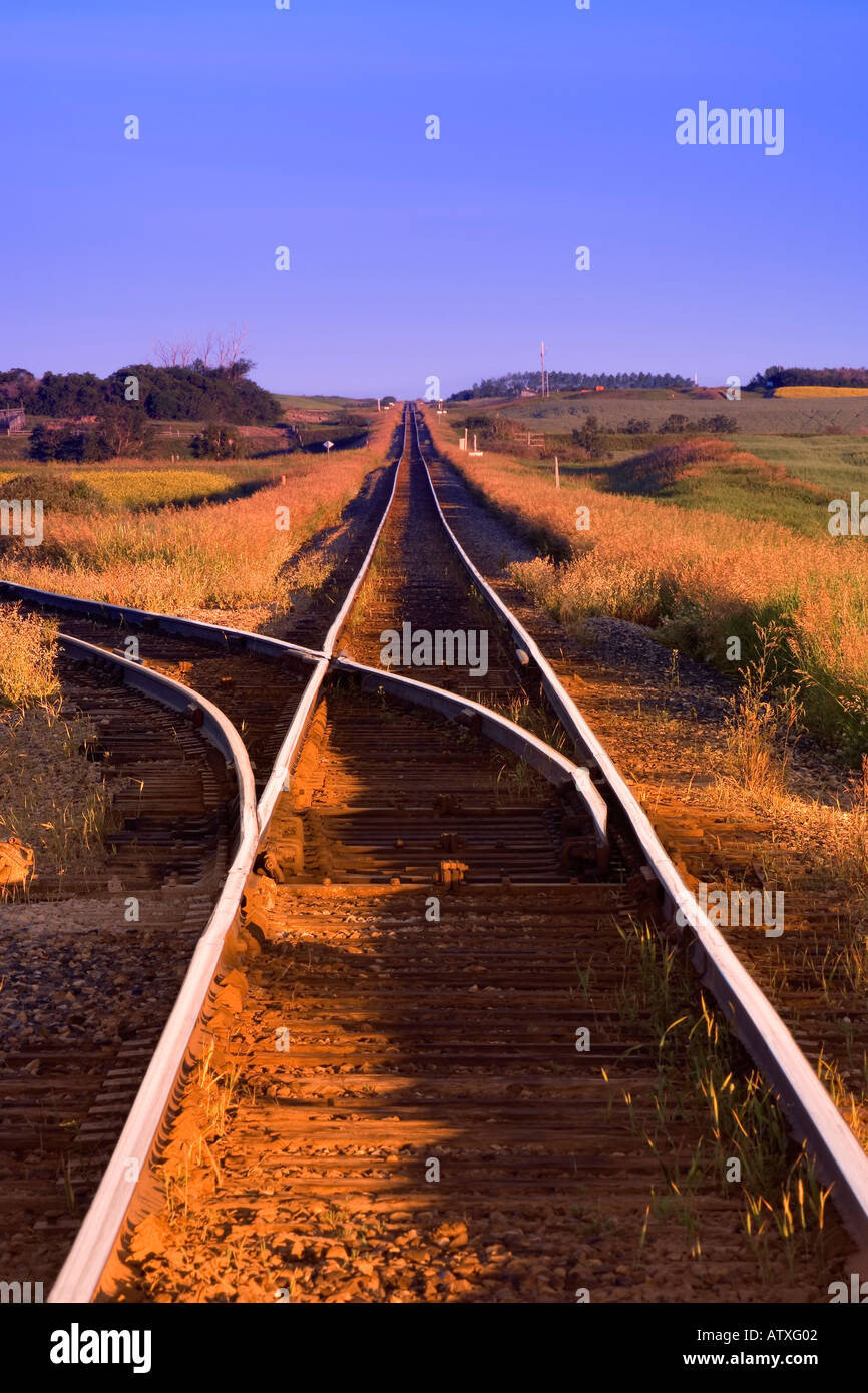 Transportation choices hi-res stock photography and images - Alamy