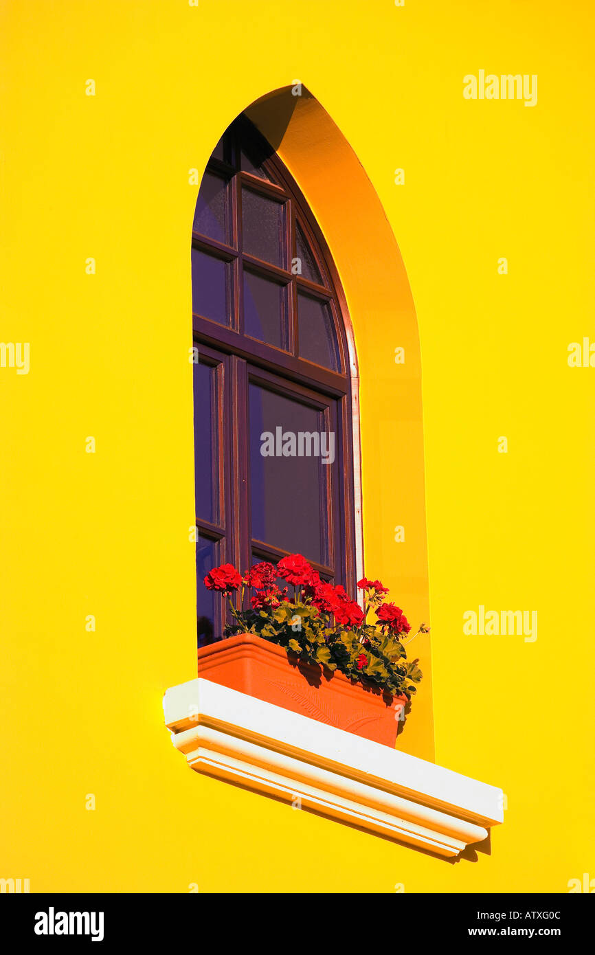 Vibrant objects hi-res stock photography and images - Alamy