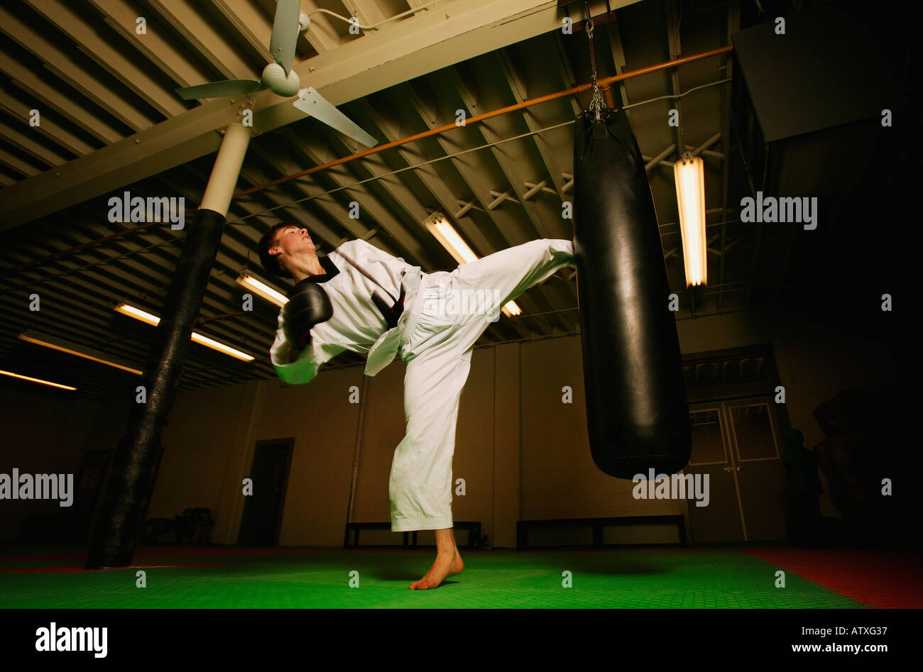 Indoor gym of tae kwon hi-res stock photography and images - Alamy