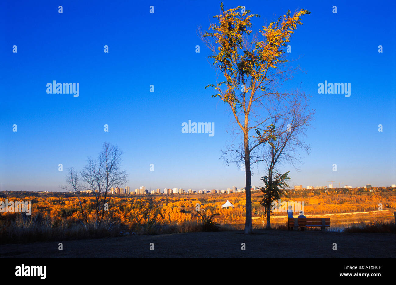 Edmonton river valley park hi-res stock photography and images - Alamy