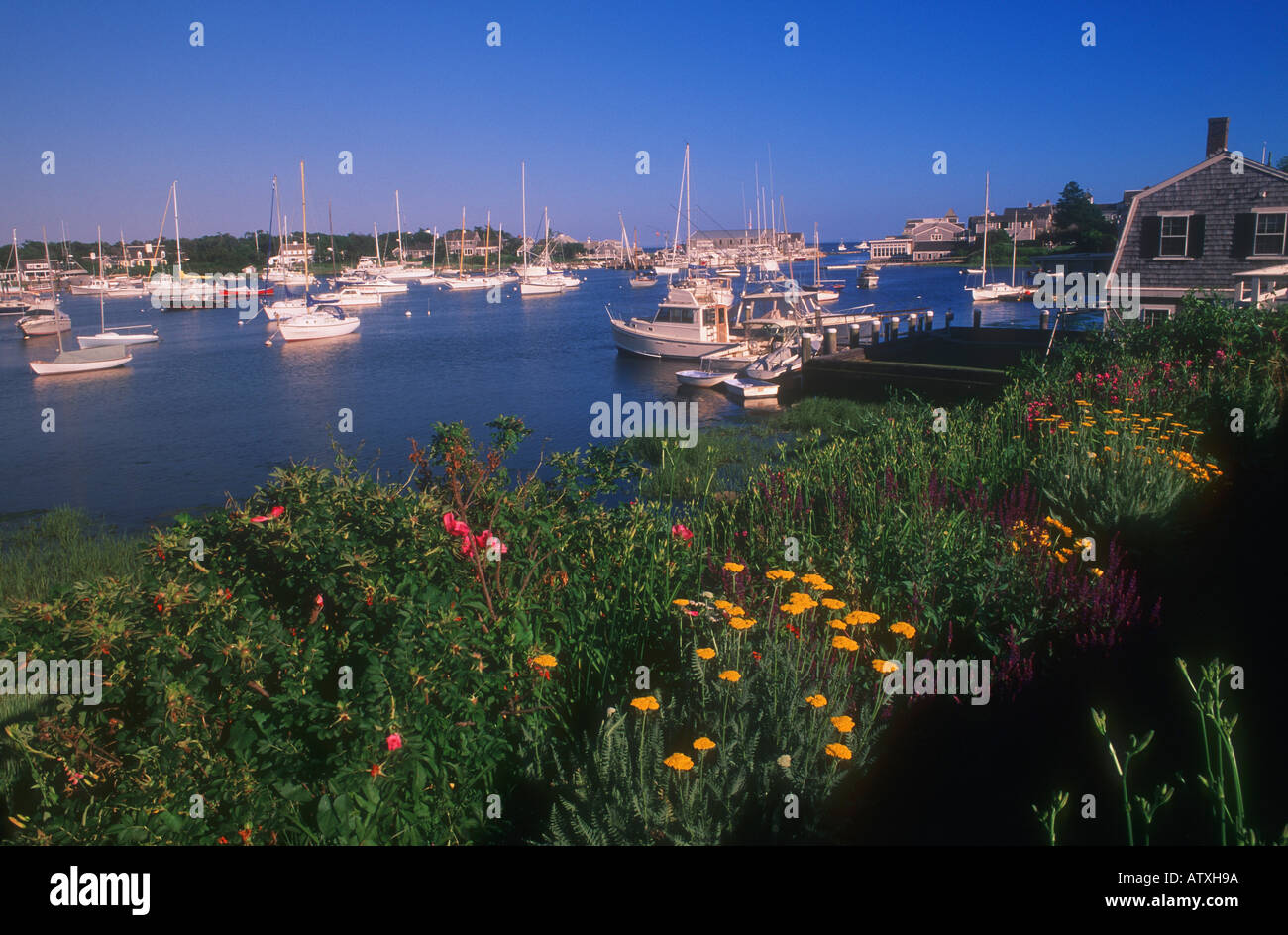 Harwich port cape cod hi-res stock photography and images - Alamy