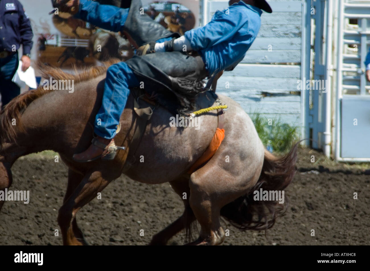 Rodeo horse accident hi-res stock photography and images - Alamy