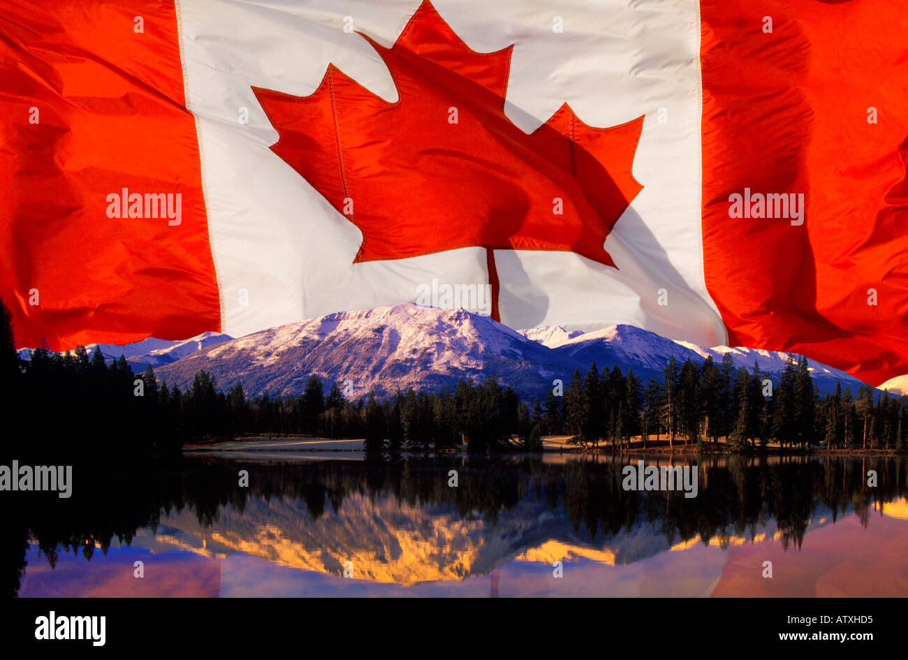 Tree maps hi-res stock photography and images - Alamy