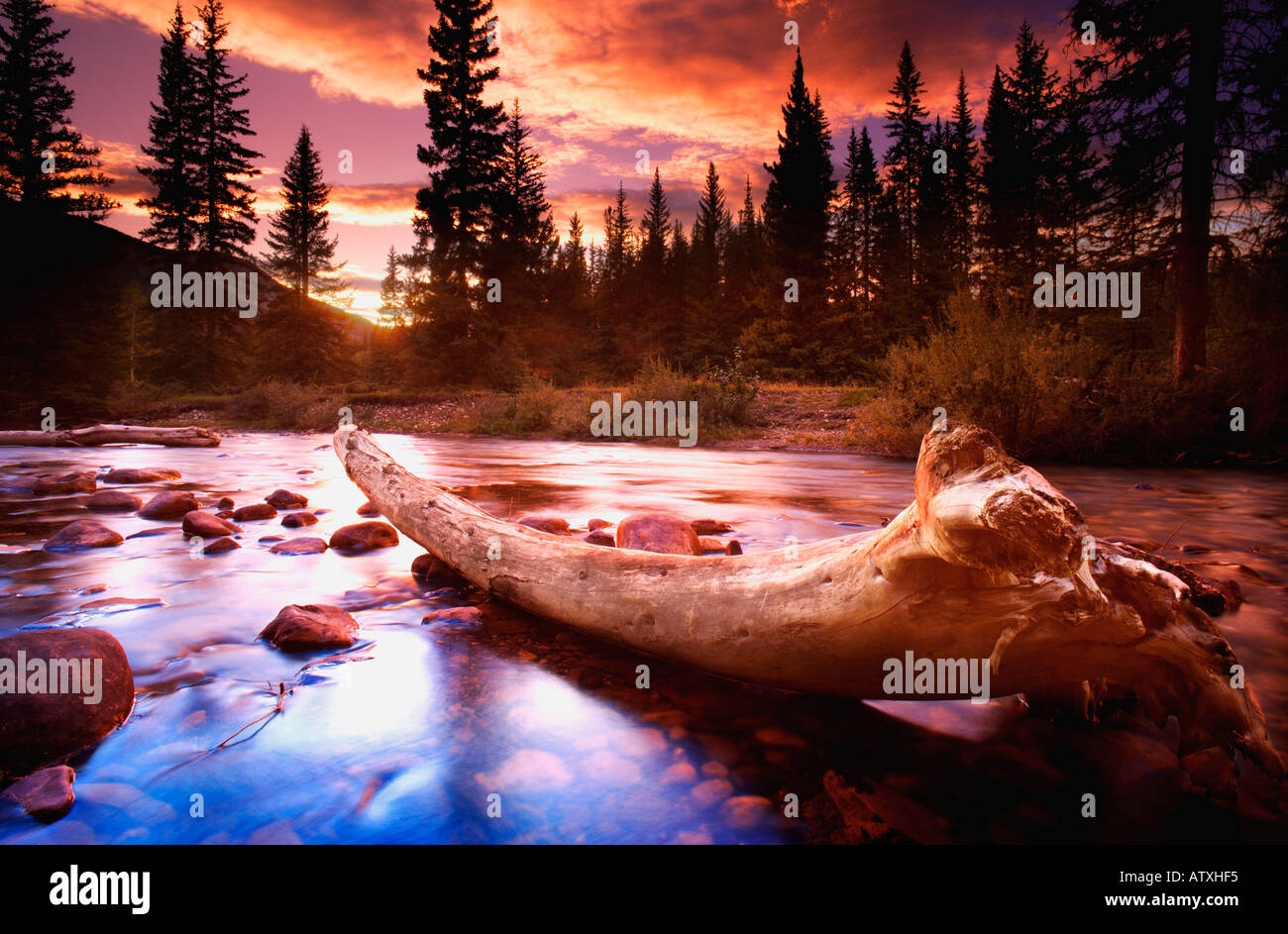 A beautiful scene Stock Photo - Alamy