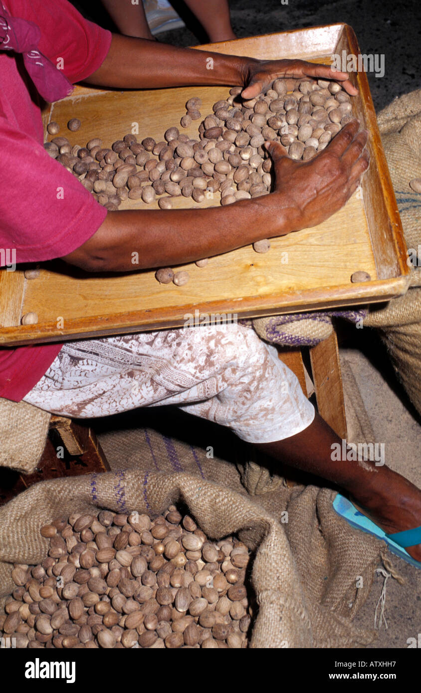 Cacao factory hi-res stock photography and images - Alamy