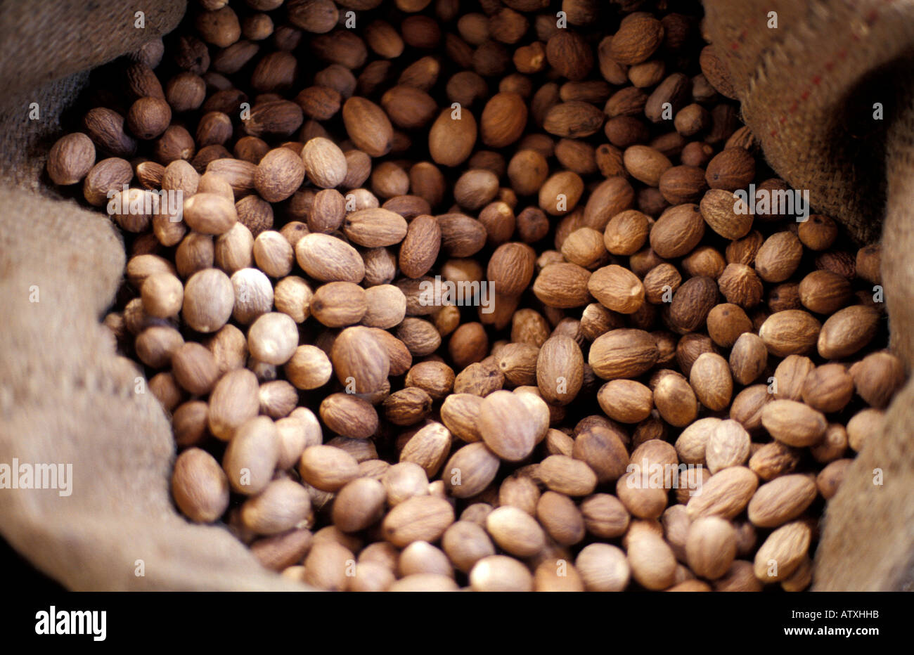 Cacao factory hi-res stock photography and images - Alamy